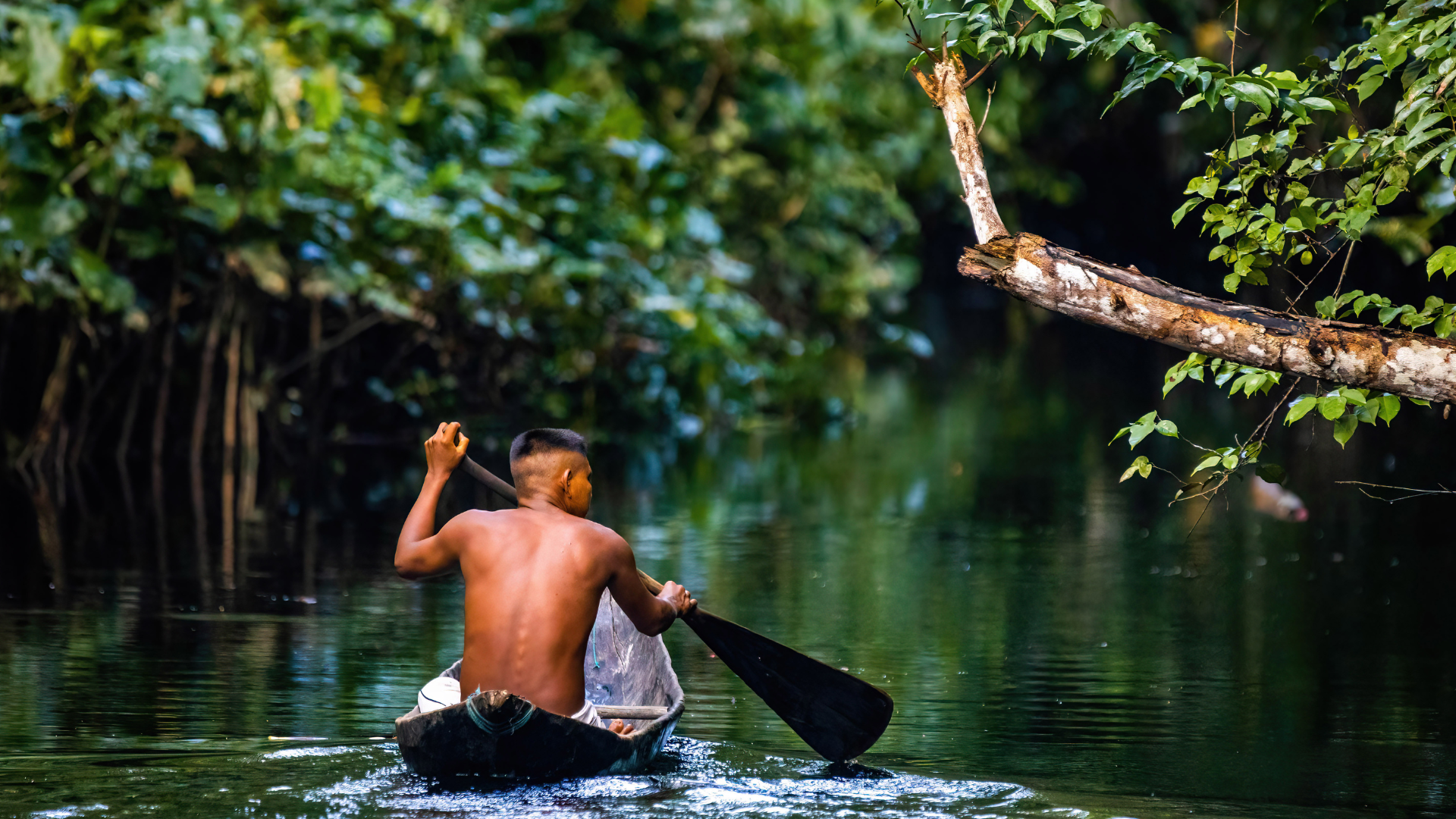 “O Futuro é Ancestral”. Mas o que isso significa?